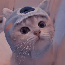 Pixiv sưu tầm - 2201 chương